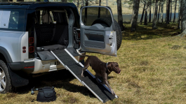 Land Rover Pet Access Ramp | Jaguar Land Rover Classic Parts