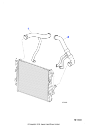 C2C16213 - Jaguar Bottom hose | Jaguar Land Rover Classic Parts