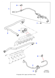 C2Z29906 - Jaguar Full load breather hose | Jaguar Land Rover Classic Parts