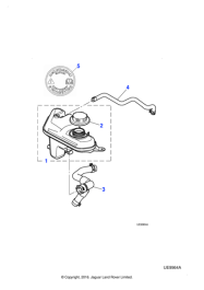 C2C17258 - Jaguar Plenum drain tube | Jaguar Land Rover Classic Parts