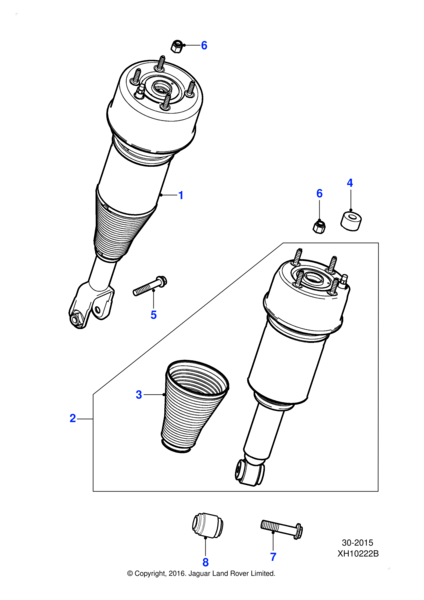 C2C41347 - Jaguar Air spring and damper | Jaguar Land Rover Classic Parts