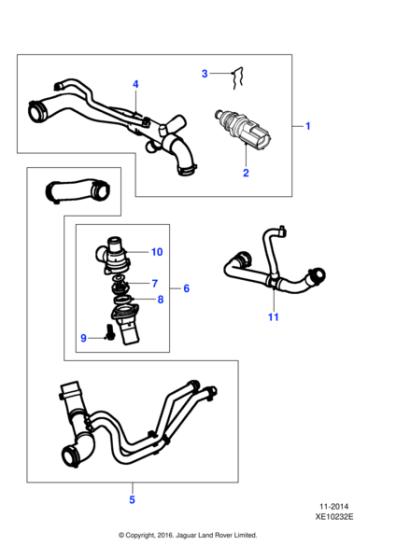 C2C22419 - Jaguar Bottom hose | Jaguar Land Rover Classic Parts